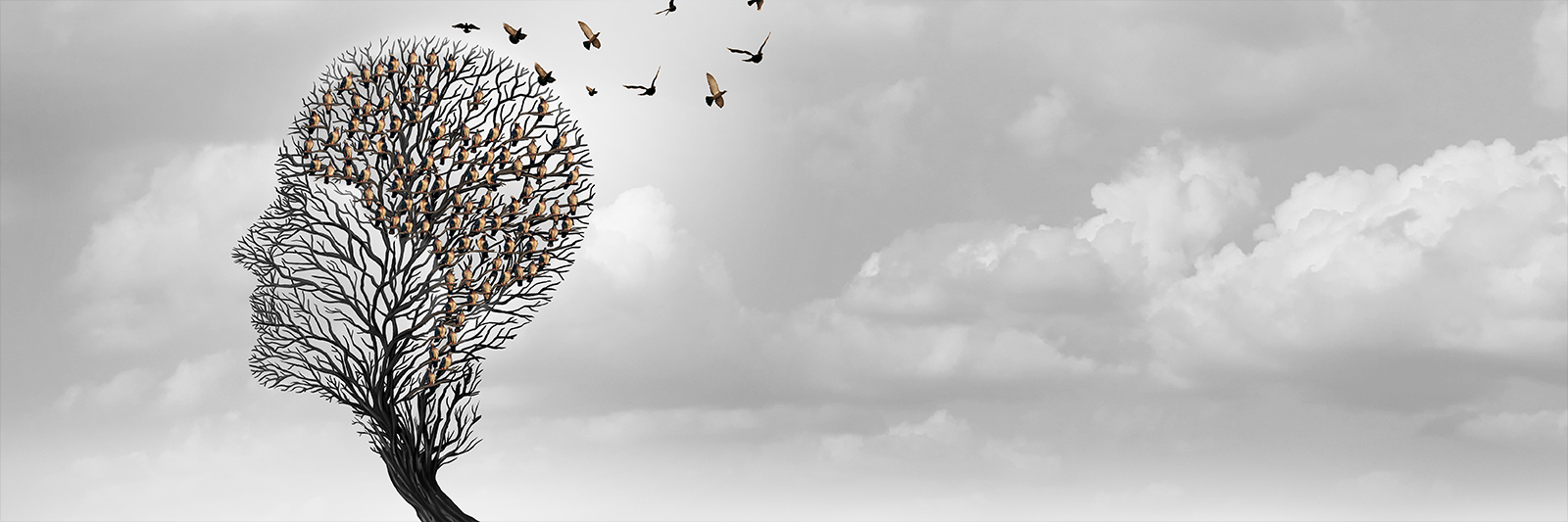 Lessons For Living: Memory and Meaning